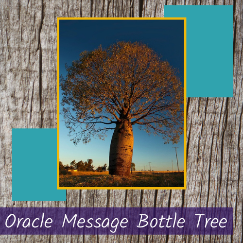 Earth Magic Bottle Tree Message | Weekly Card Reading | Intuitive Guidance
