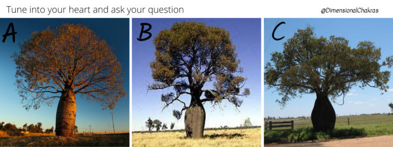 Earth Magic Bottle Tree Message | Weekly Card Reading | Intuitive Guidance