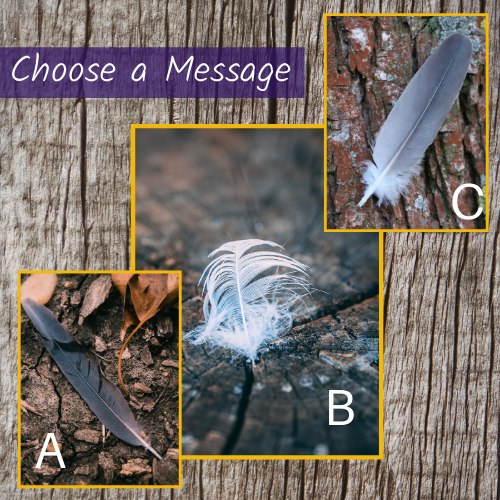 Angel Therapy Oracle Feathers | Dimensional Healing with Chakra Energy