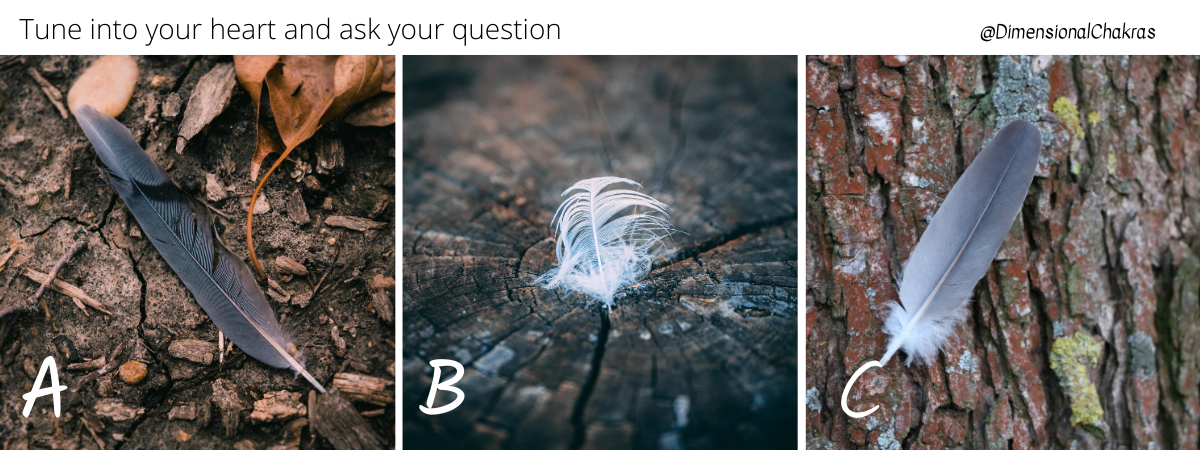 Angel Therapy Oracle Feathers | Dimensional Healing with Chakra Energy